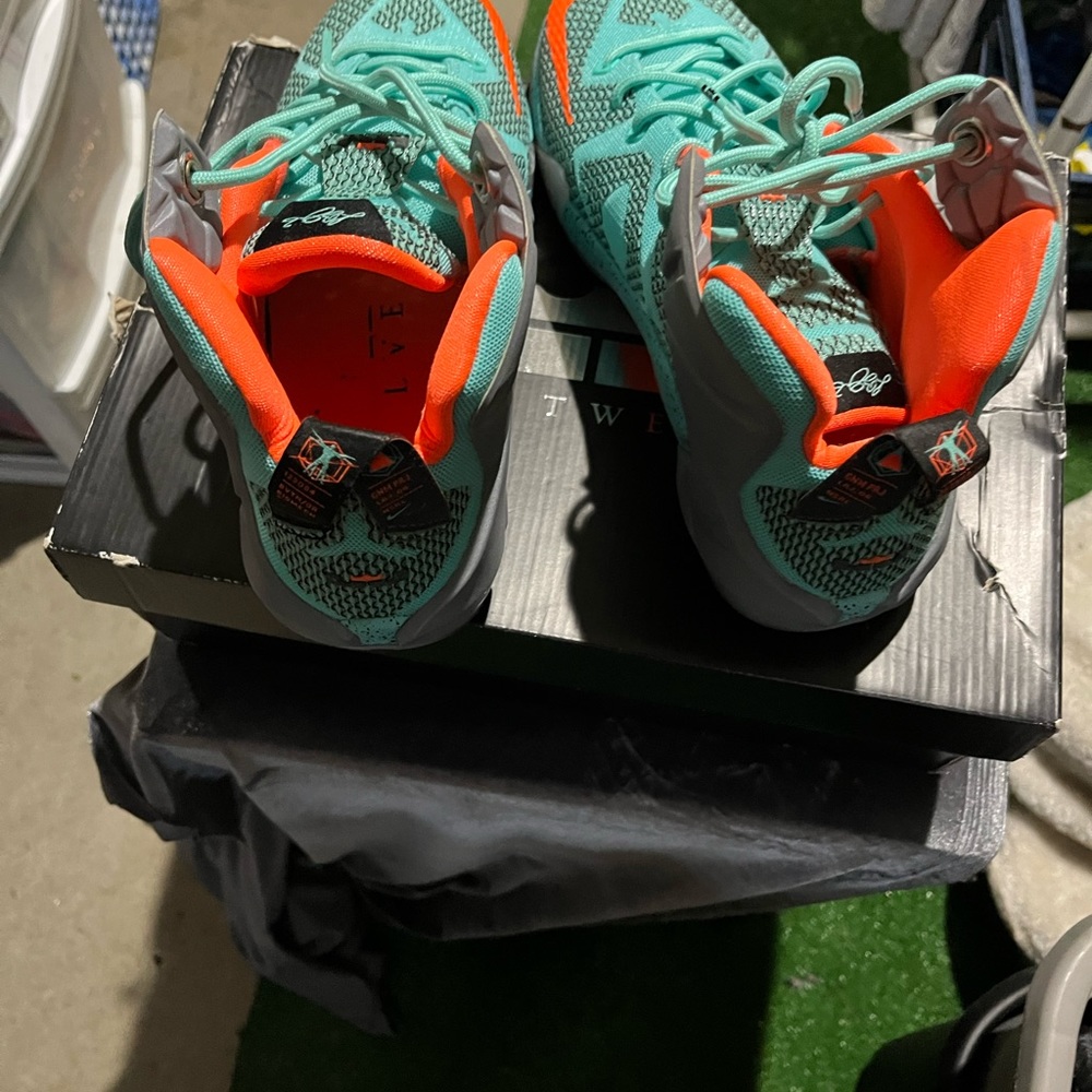 Lebrun James Nike Sneakers - Gem